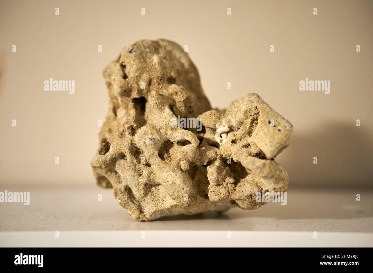 Natural stone from the seaside with small holes Stock Photo - Alamy