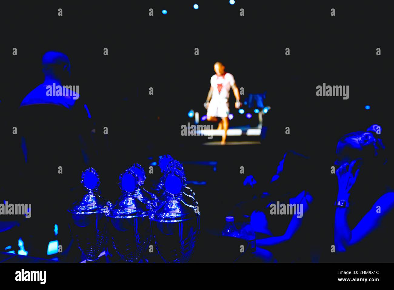 Arranged trophies are prepared to be awarded to the winners of fight on ...