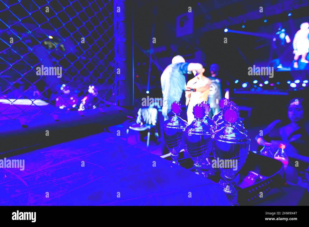 Arranged trophies are prepared to be awarded to the winners of fight on ...