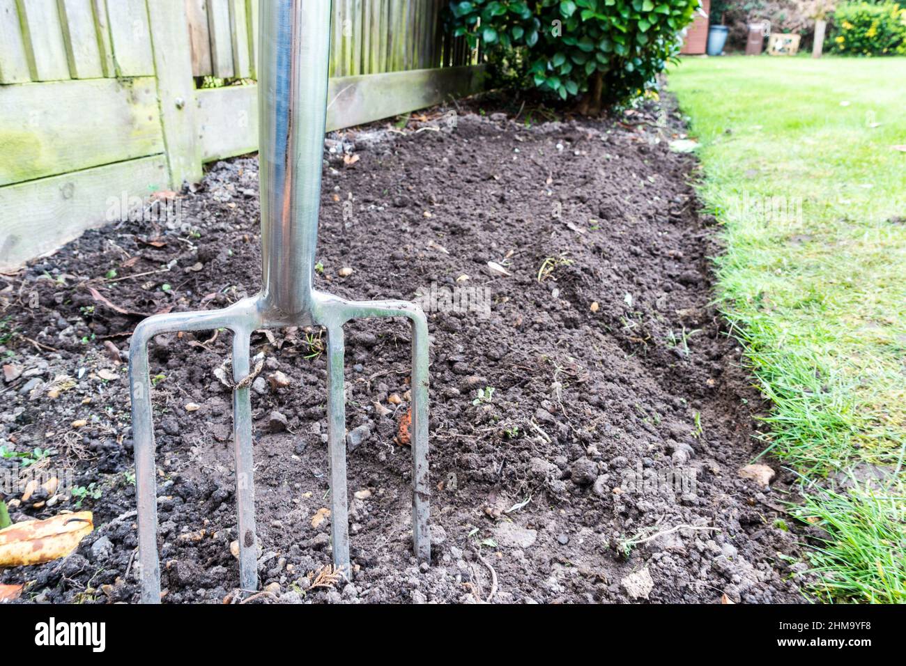 Digging fork in garden with hand gloves Stock Photo - Alamy