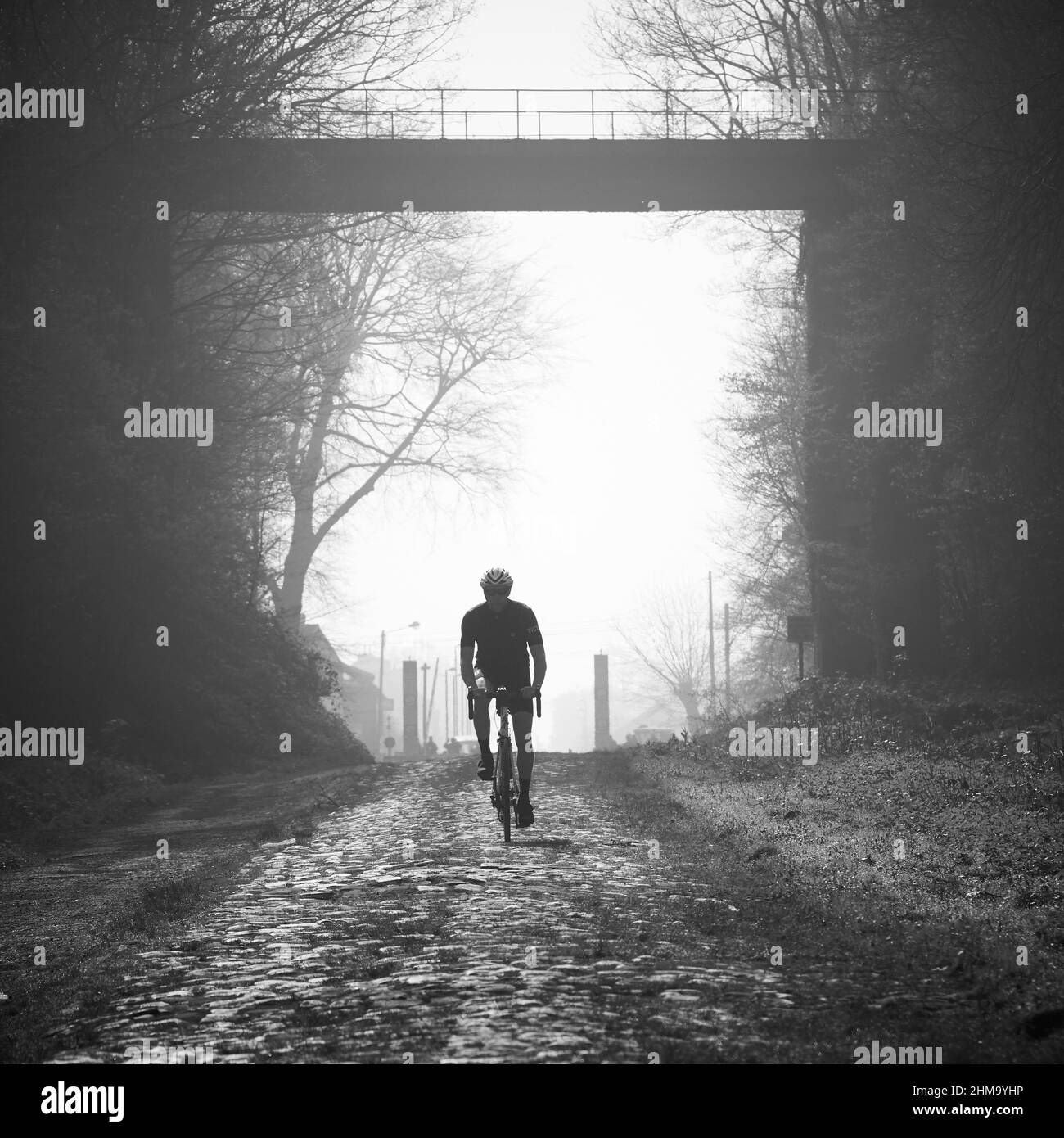 Forest of arenberg hi-res stock photography and images - Alamy