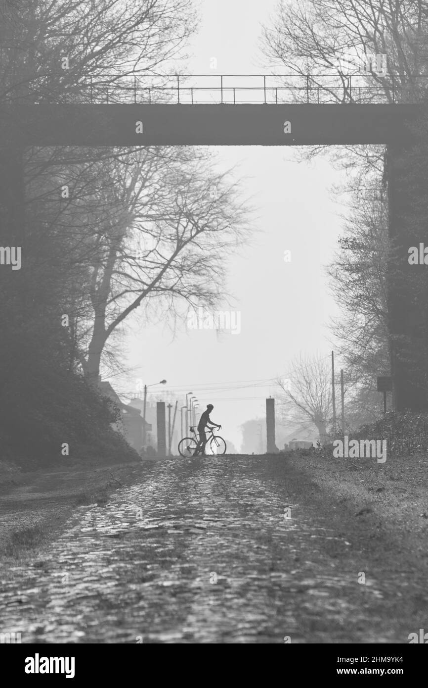 Forest of arenberg hi-res stock photography and images - Alamy