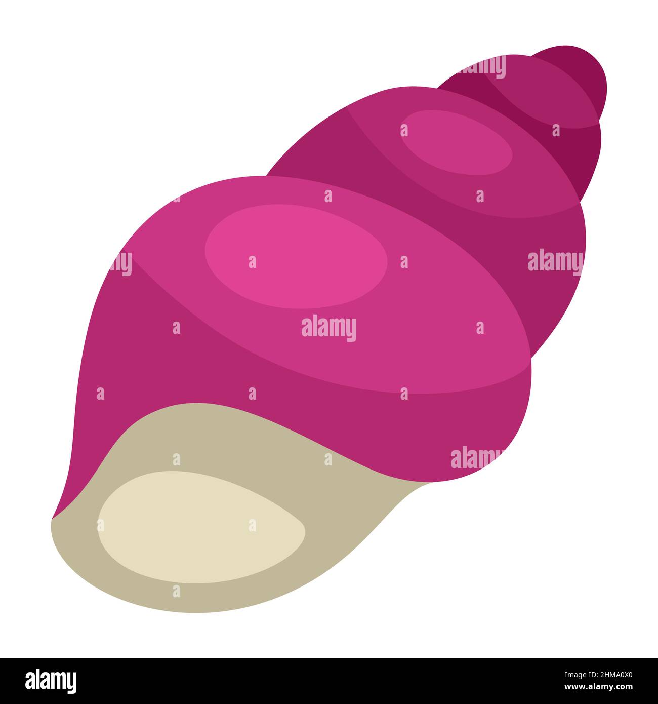 Stylized illustration of shell. Marine fauna and wildlife Stock Vector ...
