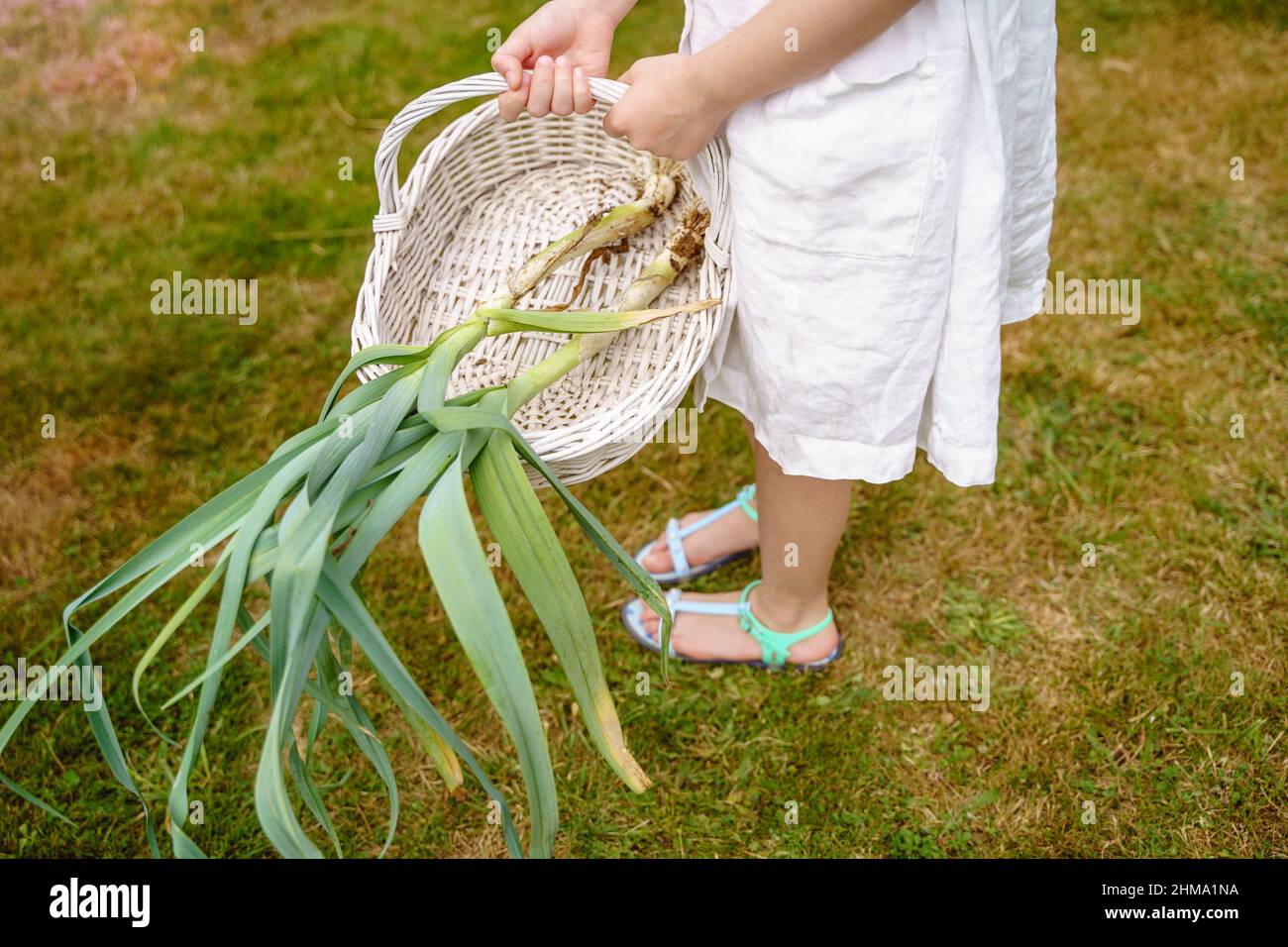 Onion kid hi-res stock photography and images - Alamy