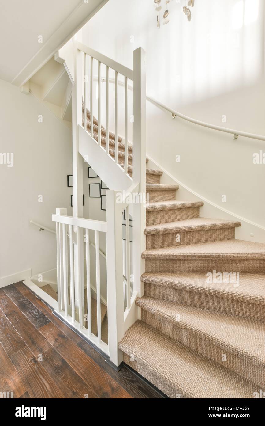 Carpeted steps of staircase with white banister and pictures on wall in ...