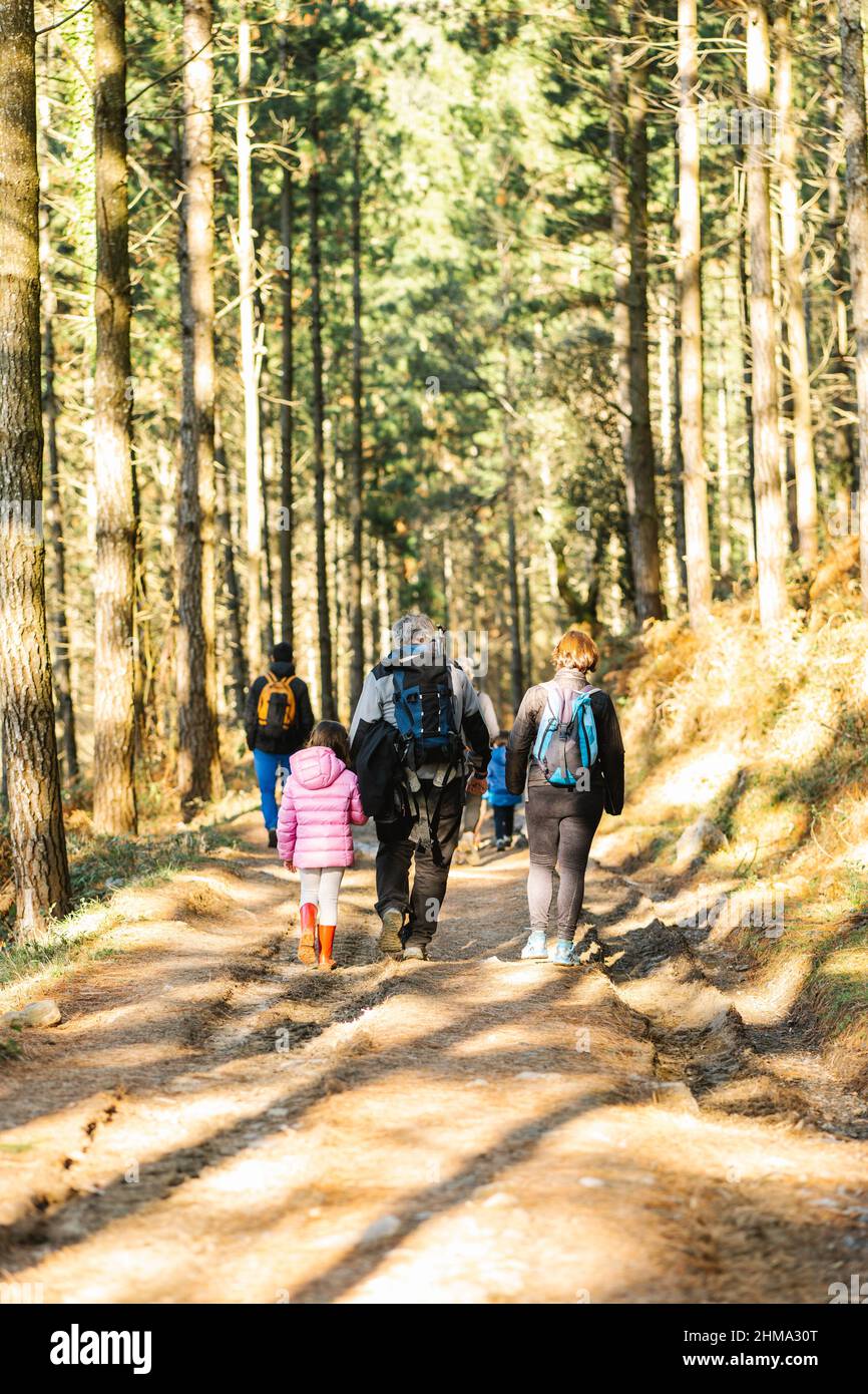 Back view of grandfather and children walking along path in woods and ...