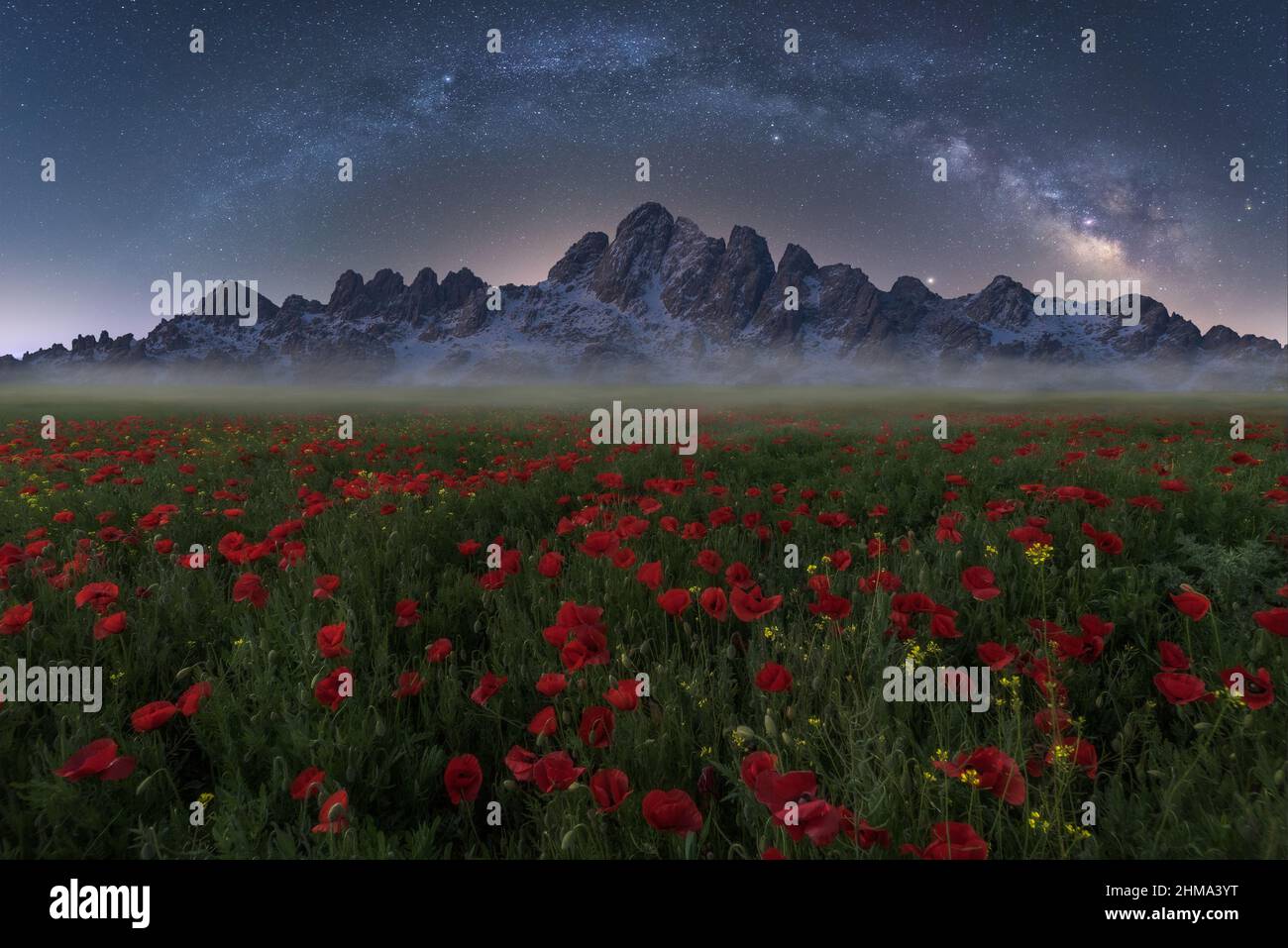 Grassy Field At Night
