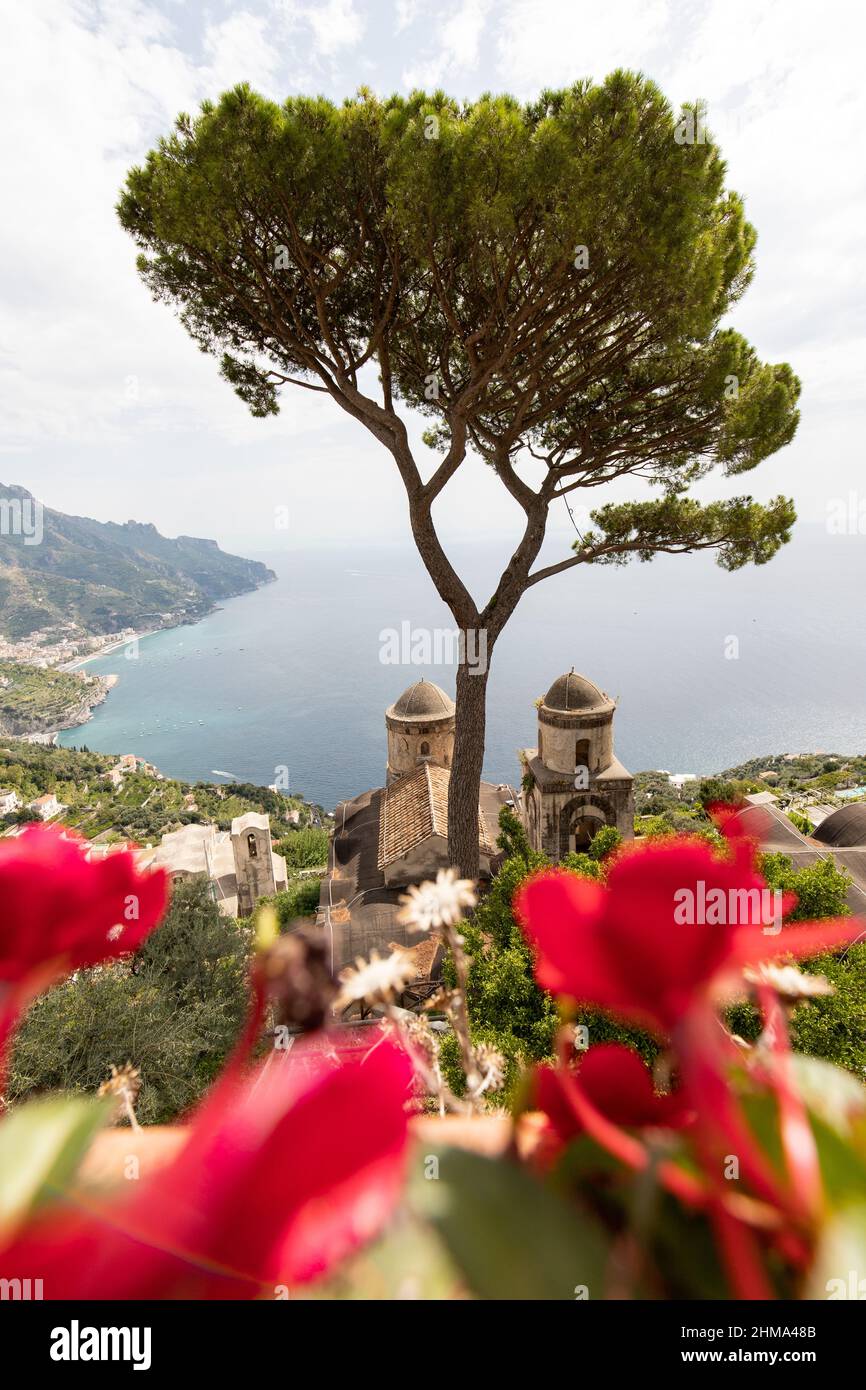 View from from edge of roof with blurred flowers of town with ...