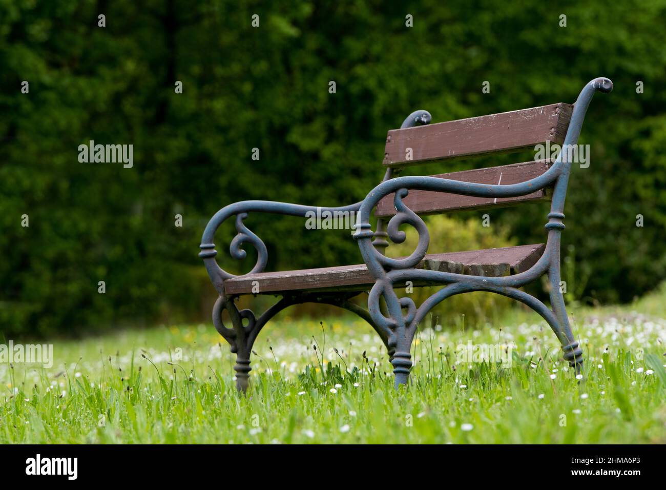 Romantic park bench in a meadow Stock Photo - Alamy