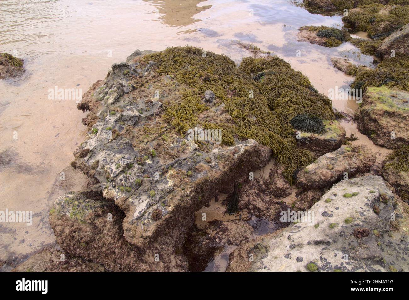 Coastal part of Cantabria in the north of Spain, Costa Quebrada, ie the ...