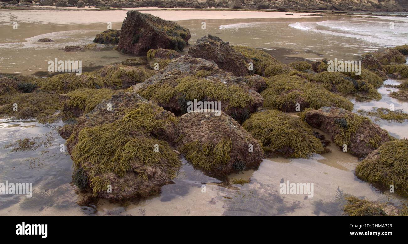 Coastal part of Cantabria in the north of Spain, Costa Quebrada, ie the ...