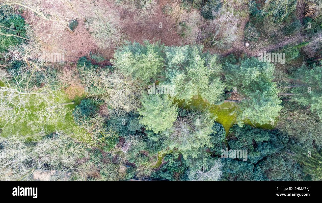 Aerial view of green treetops hi-res stock photography and images - Alamy