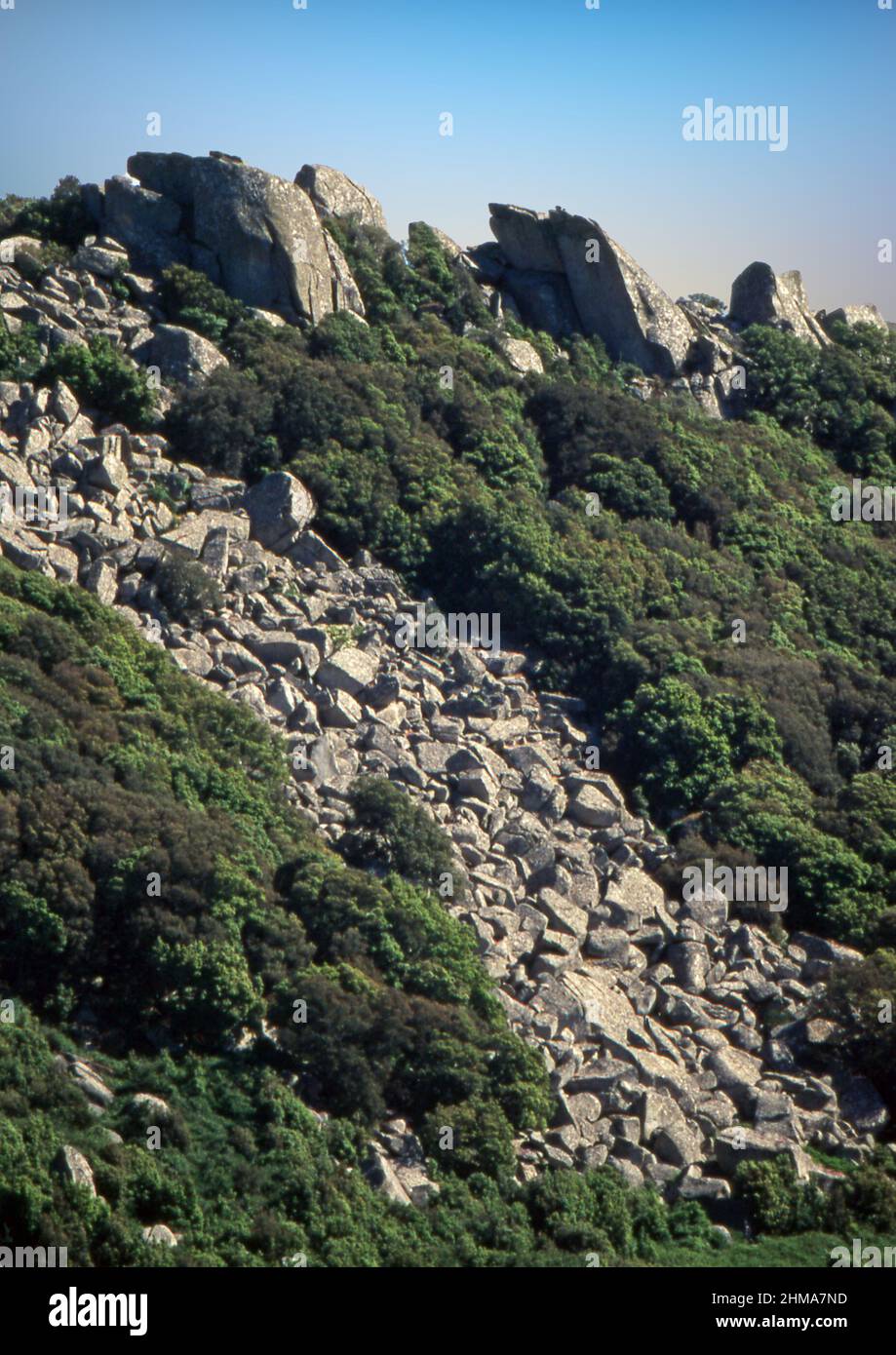 Typical landscape of Gallura, Sardinia, Italy (scanned from colorslide ...