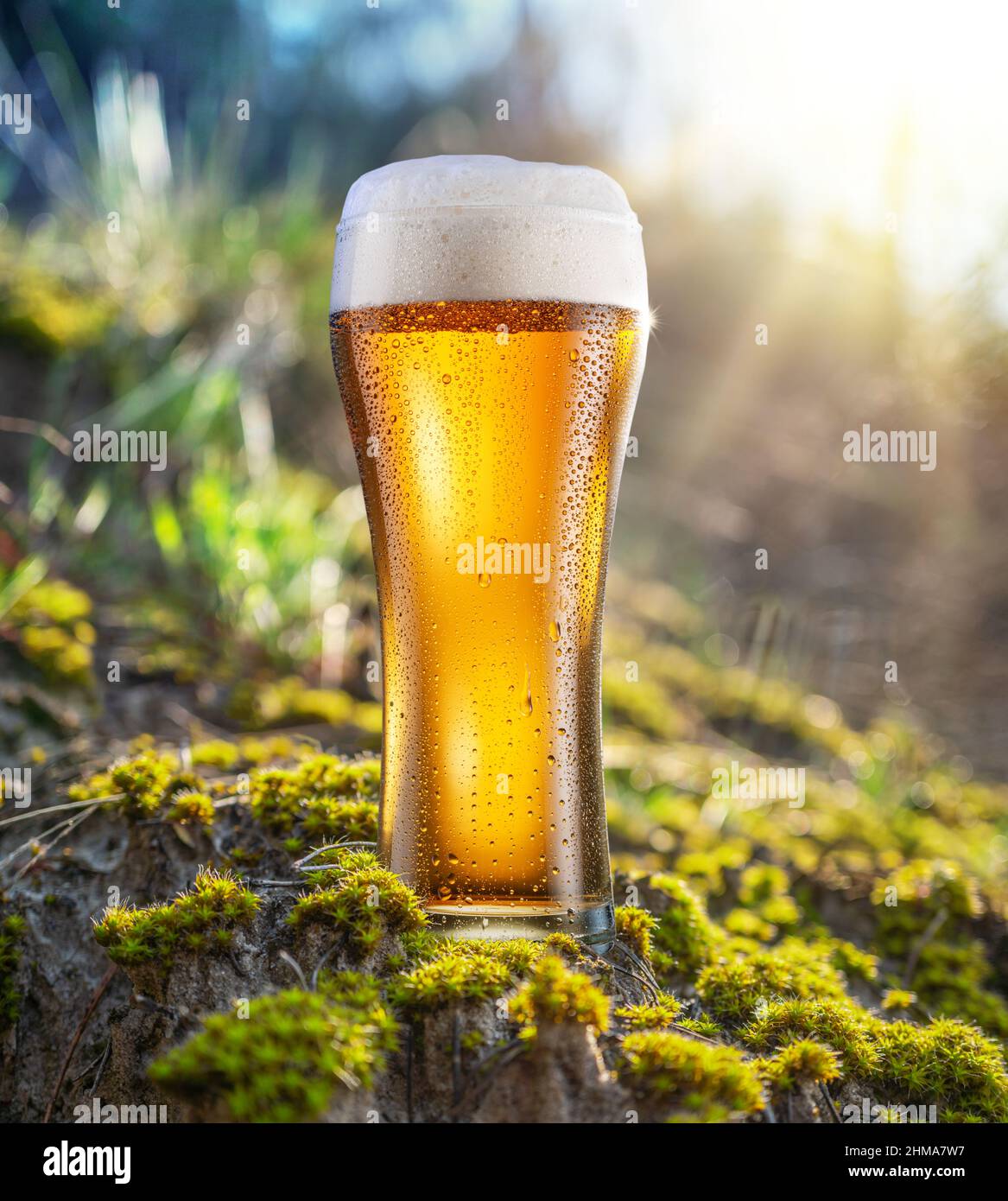 Cold glass of beer with white foam and gas bubbles inside. Nature ...