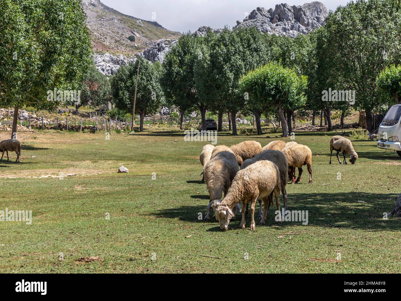 A country of stones, Taşeli Plateau. Taşeli Plateau is a karstic ...