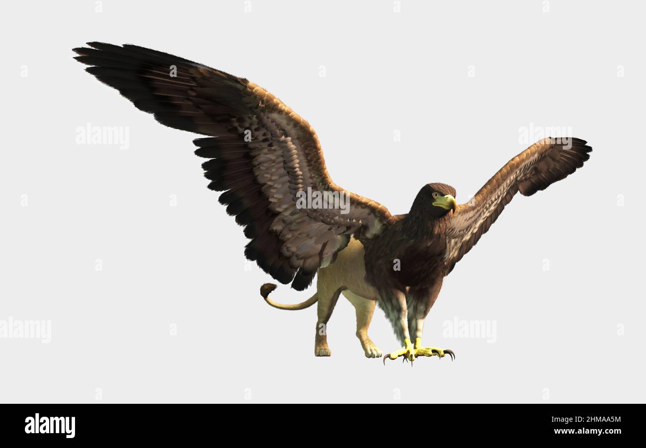 Half Horse Half Eagle