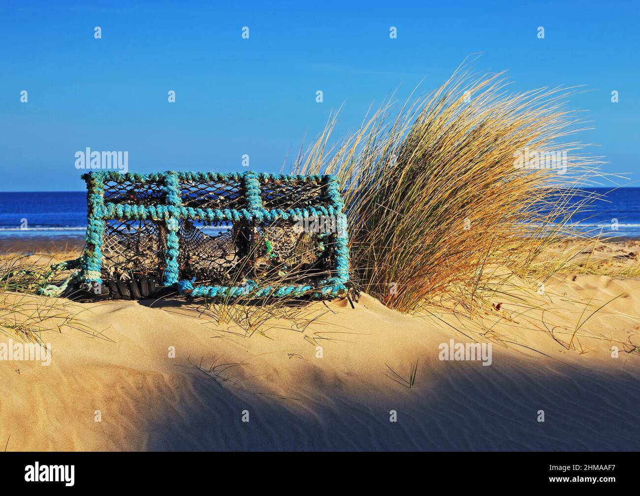 Lobster Pot #1 Stock Photo - Alamy