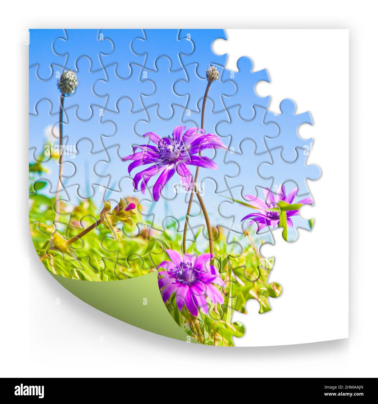 Spring concept in puzzle shape on white background Stock Photo - Alamy