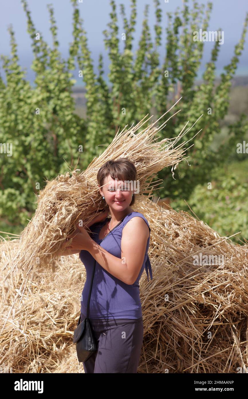 Greece wheat hi-res stock photography and images - Alamy