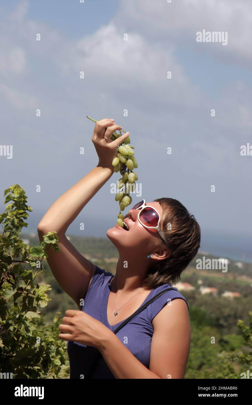 Woman harvesting grapes from hi-res stock photography and images - Alamy