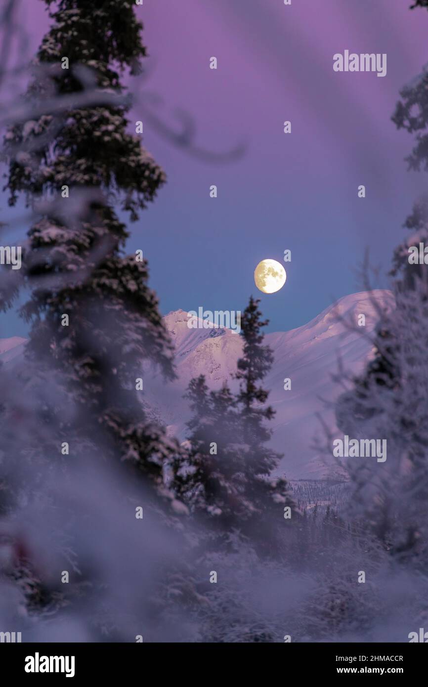 Full moon above mountains during colorful sunset in Alaska Stock Photo ...