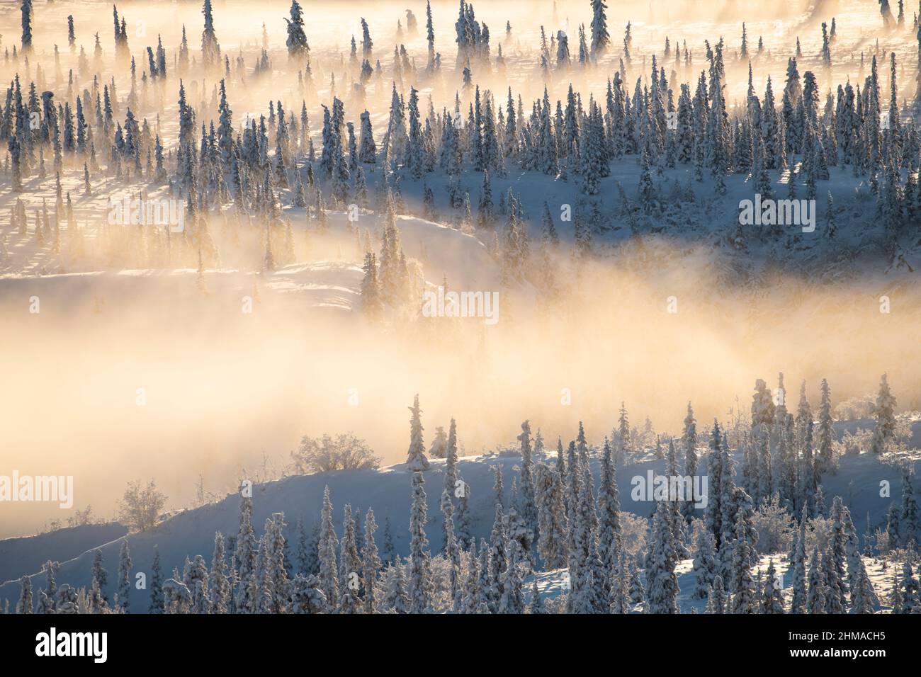 Alaska snow storm hi-res stock photography and images - Alamy