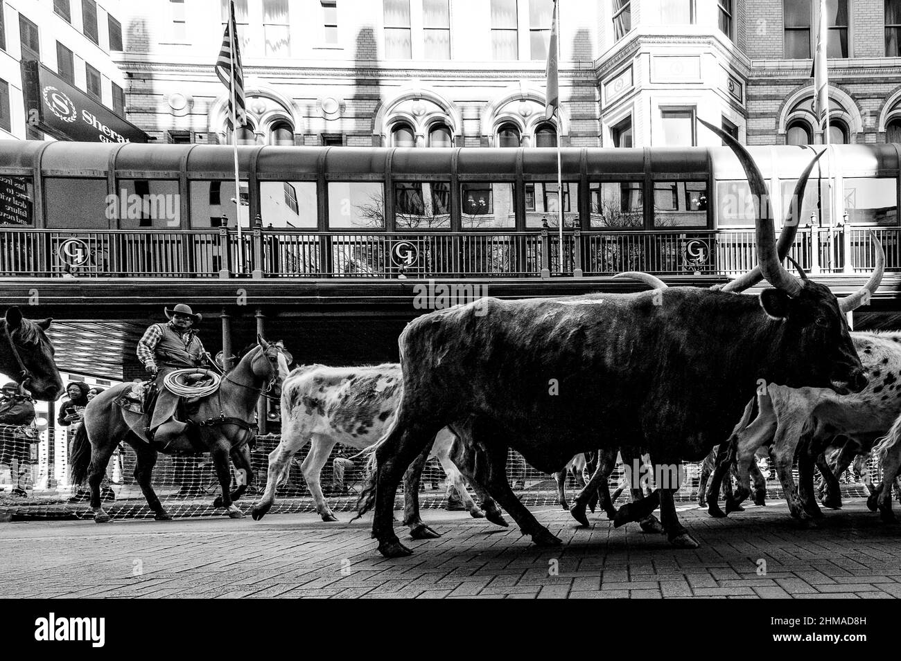 Downtown rodeo parade Black and White Stock Photos & Images - Alamy