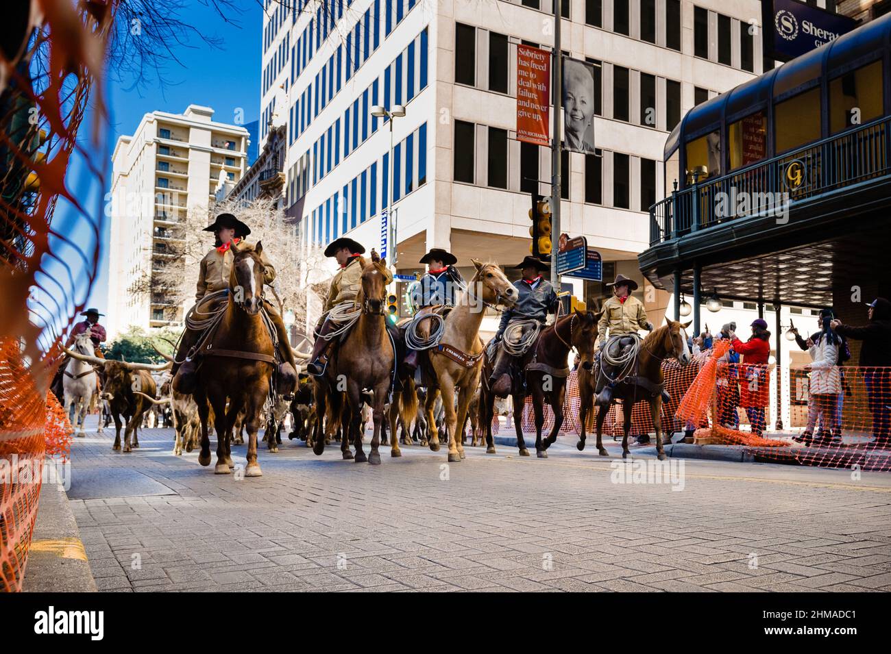 5 horsemen start the beginning of the san antonio cattle drive Stock ...