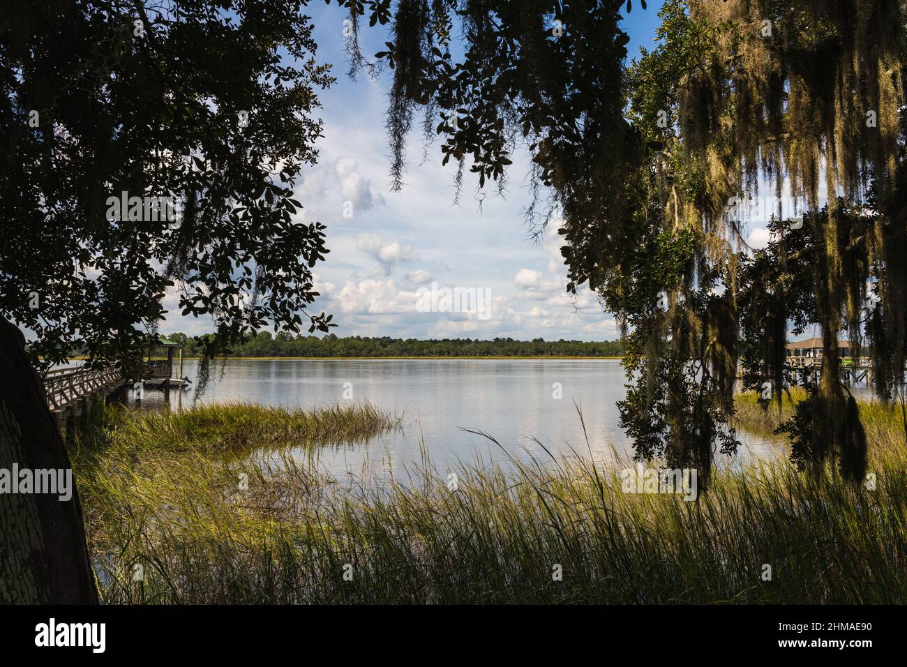Oak trees with spanish moss hi-res stock photography and images - Alamy