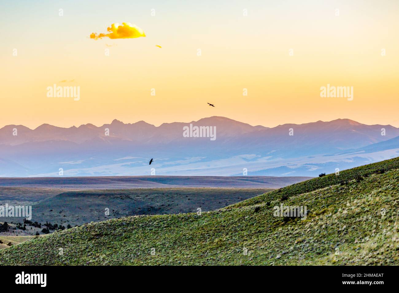 Mountain Range with Birds in the Sky at Sunset Stock Photo - Alamy