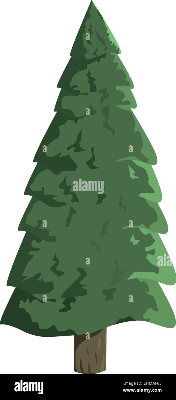 Realistic green spruce isolated on white background - Vector ...