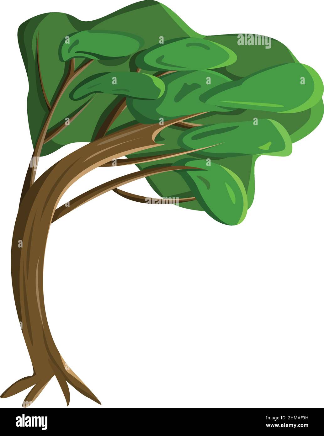 Realistic green old tall tree isolated on white background - Vector ...