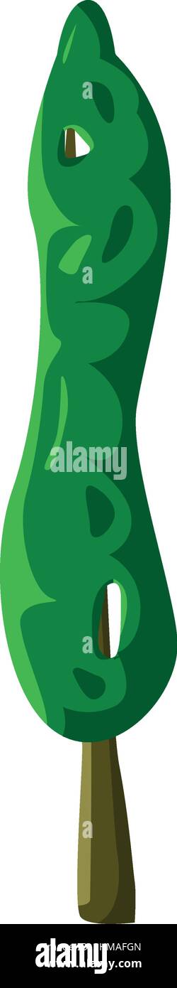 Realistic green old tall tree isolated on white background - Vector ...