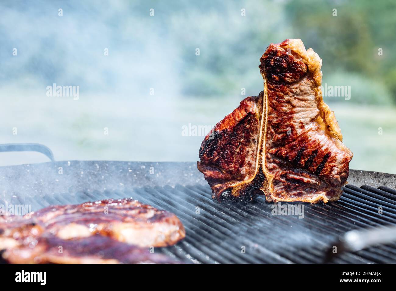 Various steak selection including rib eye, t-bone, fillet steak and ...