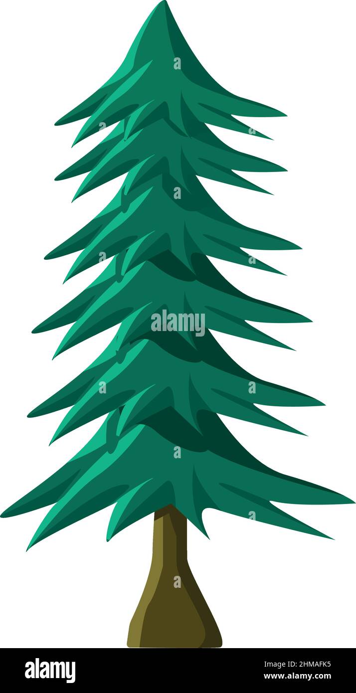 Realistic green spruce isolated on white background - Vector ...