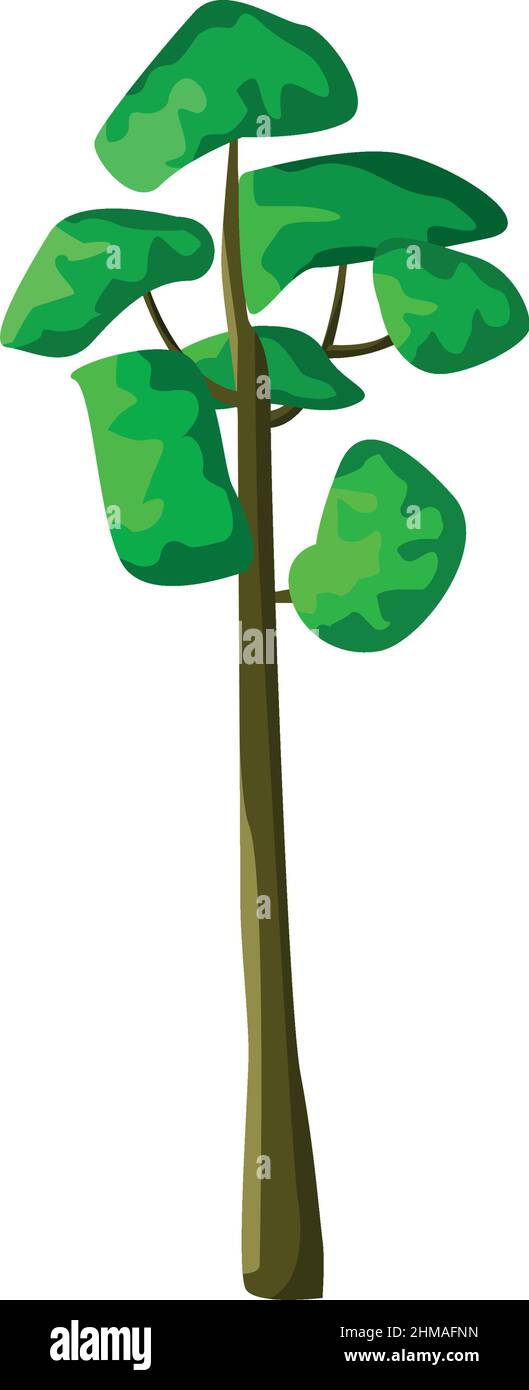 Realistic green old tall tree isolated on white background - Vector ...