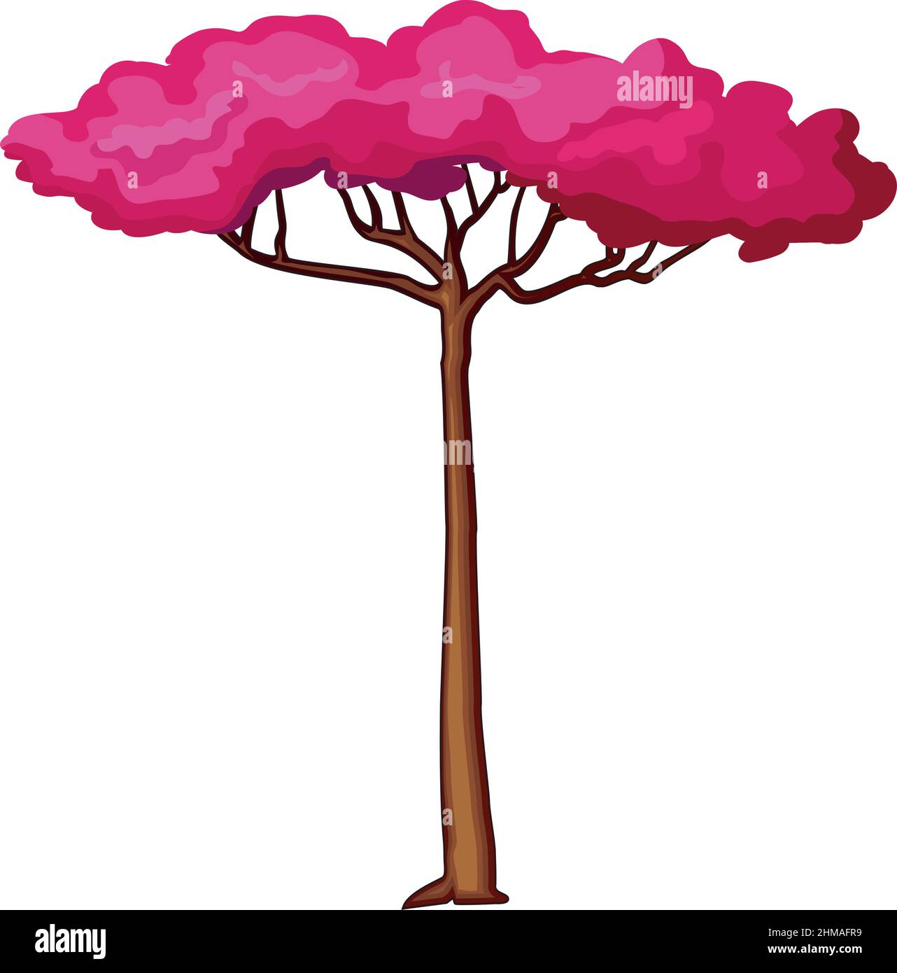 Realistic green old tall tree isolated on white background - Vector ...