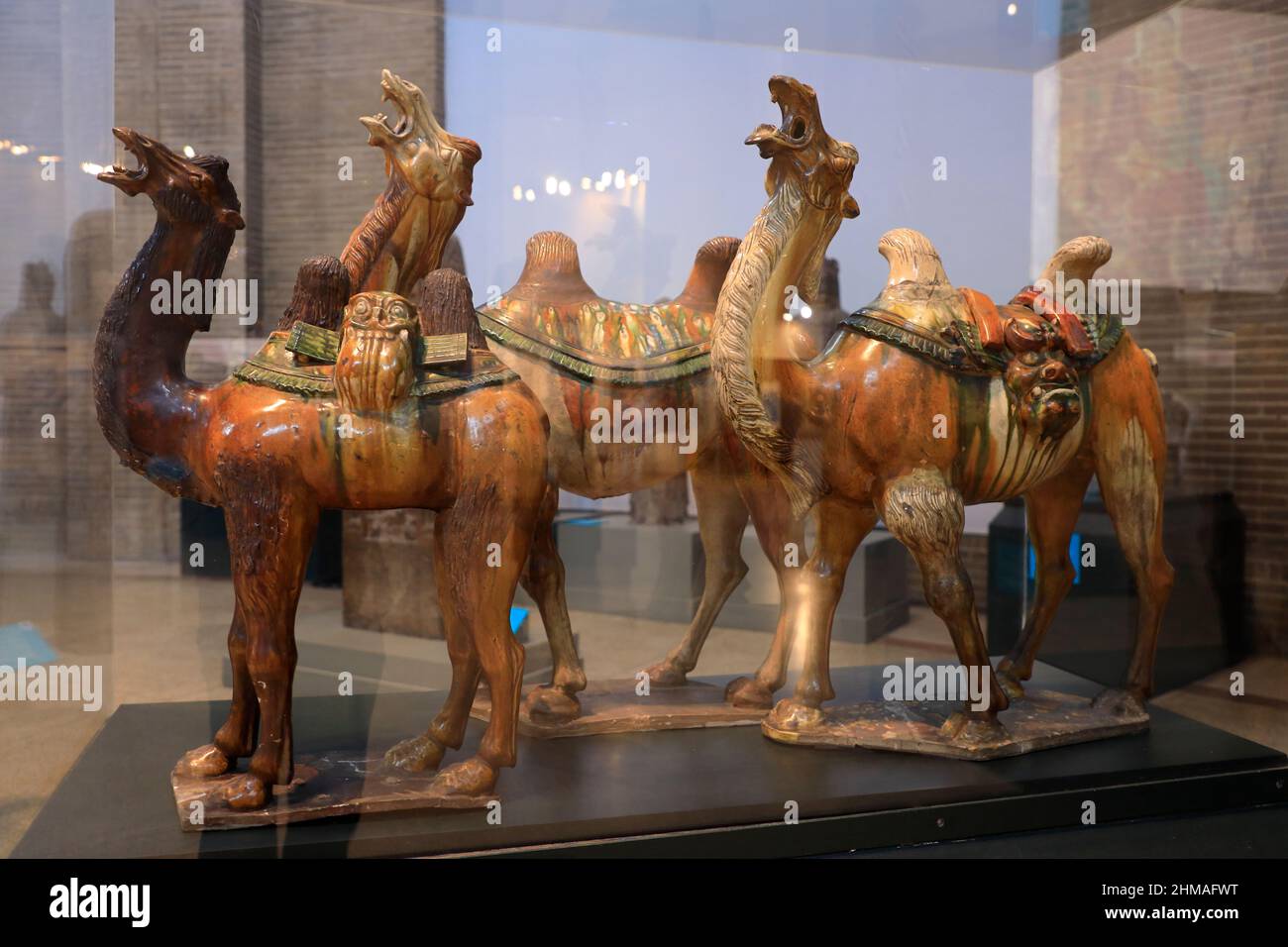 Tang dynasty camel hi-res stock photography and images - Alamy