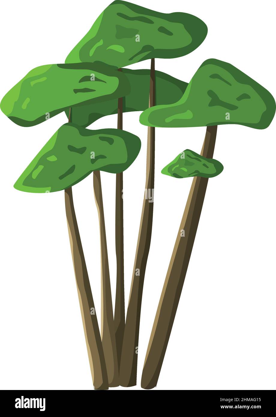 Realistic green bushes on white background - Vector illustration Stock ...