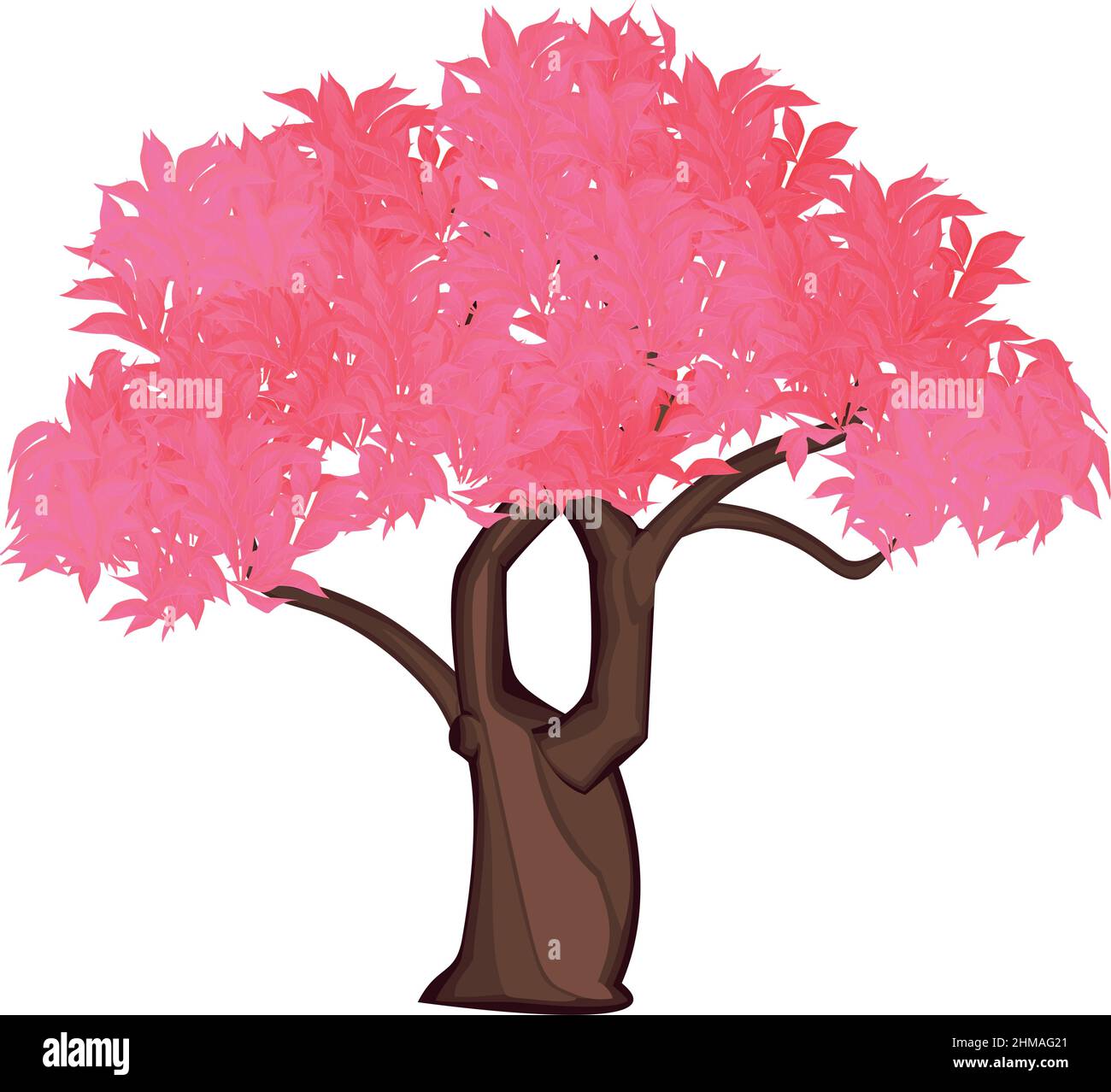 Realistic green sprawling tree isolated on white background - Vector ...