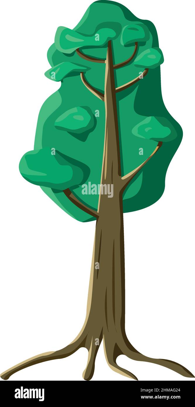 Realistic green old tall tree isolated on white background - Vector ...