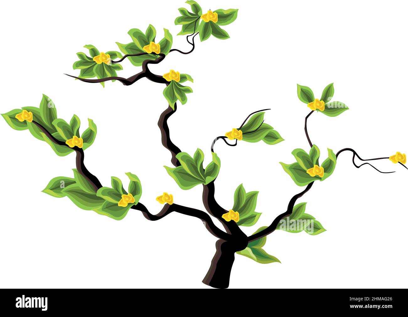 Realistic green bushes on white background - Vector illustration Stock ...