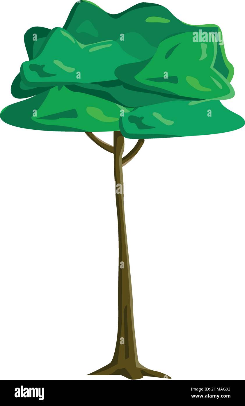 Realistic green old tall tree isolated on white background - Vector ...
