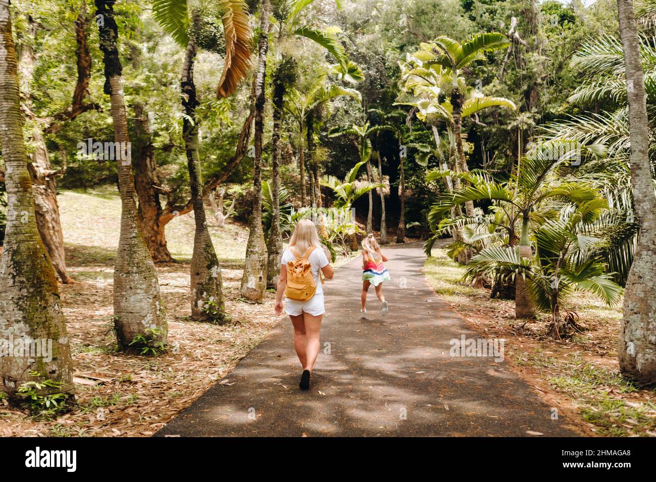 Tourists walk along the avenue with large palm trees in the ...