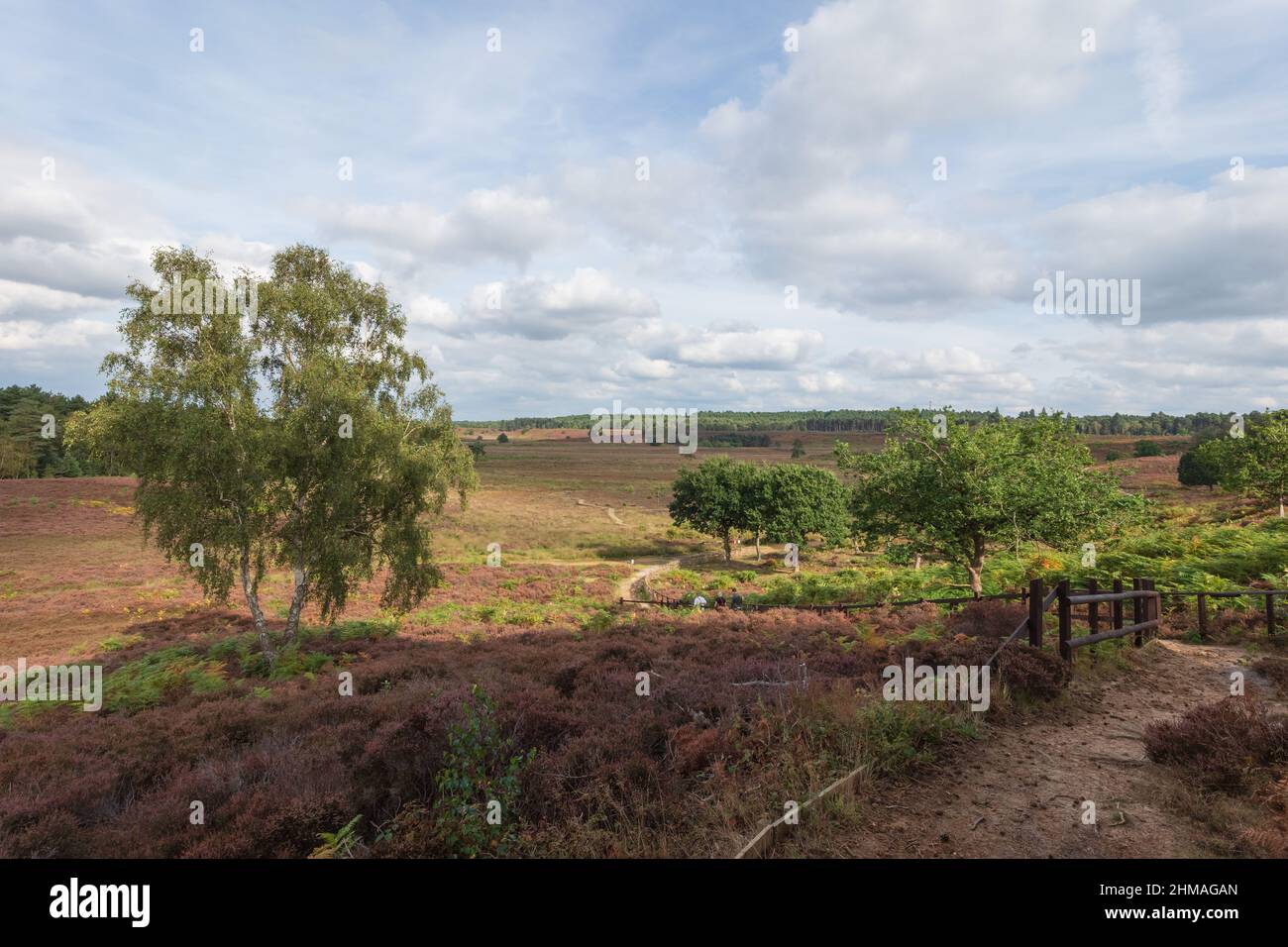 Dersingham hi-res stock photography and images - Alamy