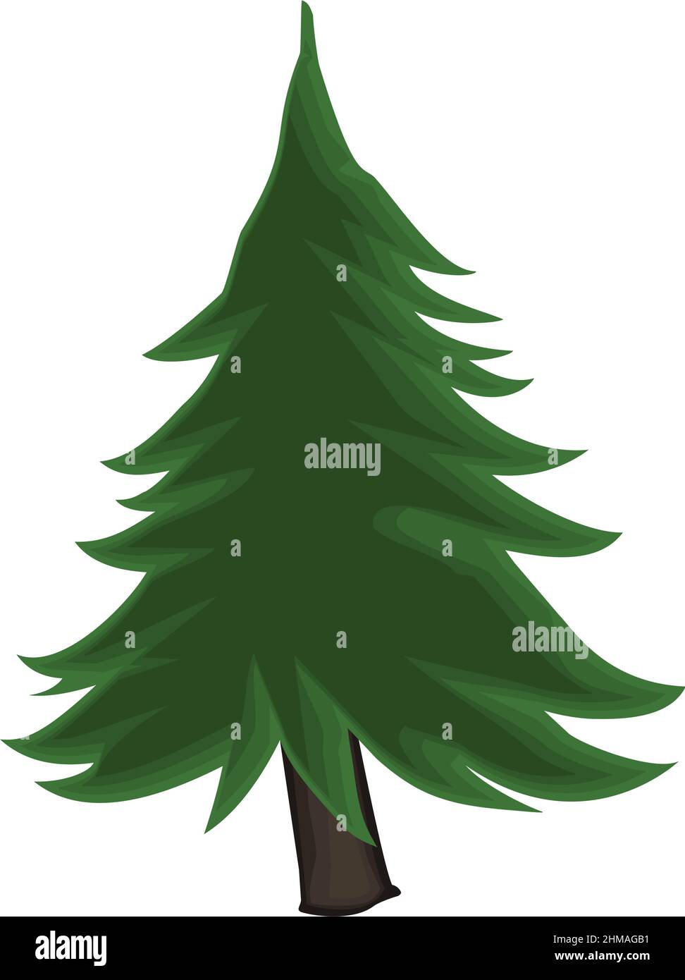 Realistic green spruce isolated on white background - Vector ...