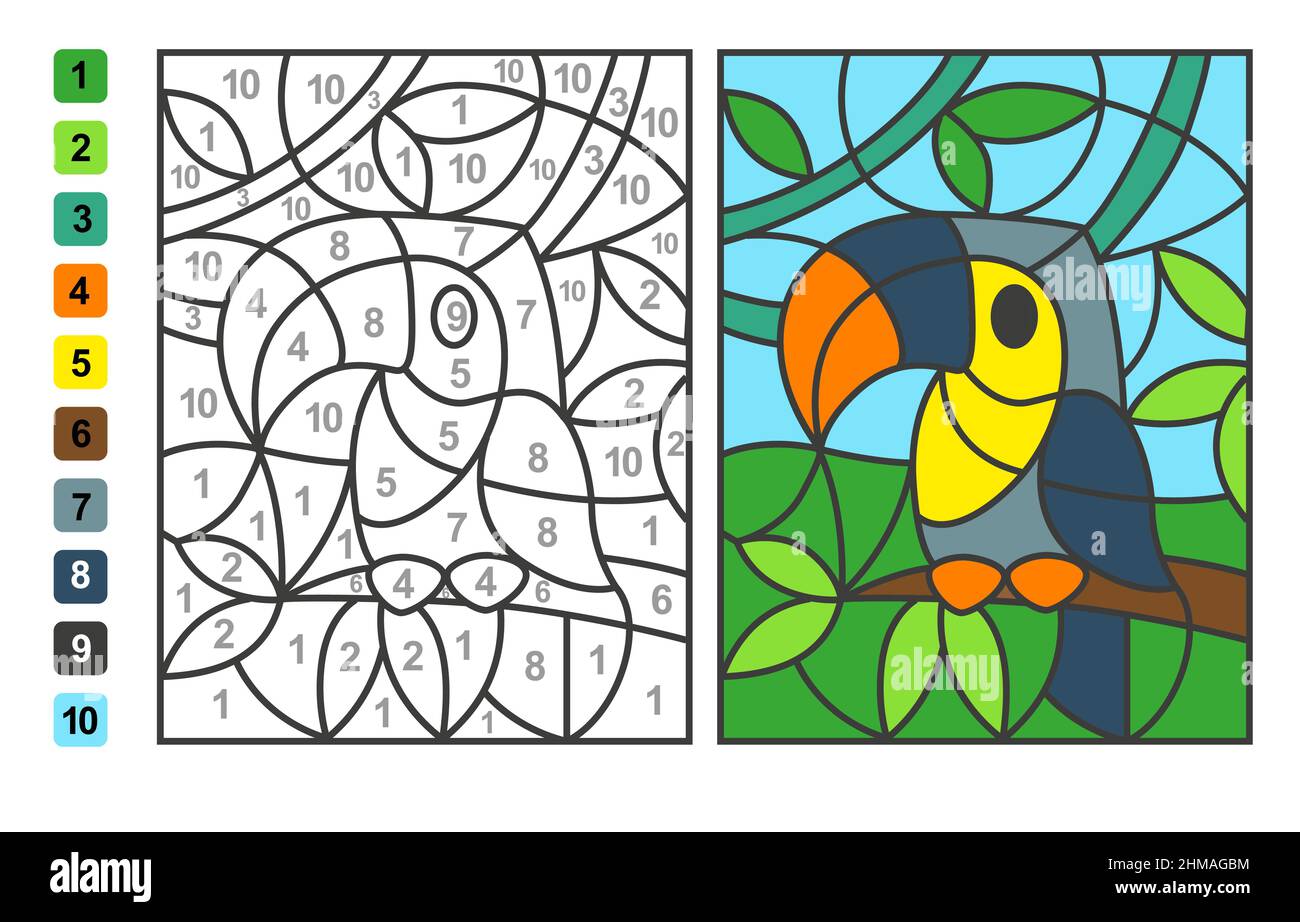 Simple vector coloring zoo animal bird toucan, color by numbers. Puzzle ...