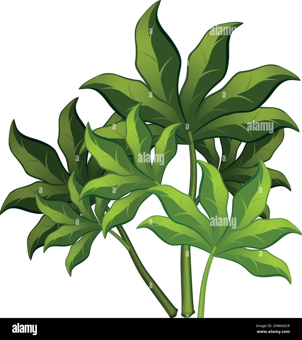 Realistic green bushes on white background - Vector illustration Stock ...