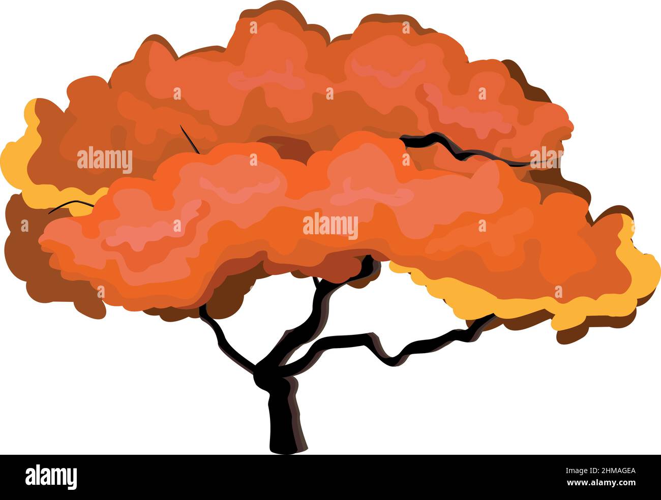 Realistic green sprawling tree isolated on white background - Vector ...