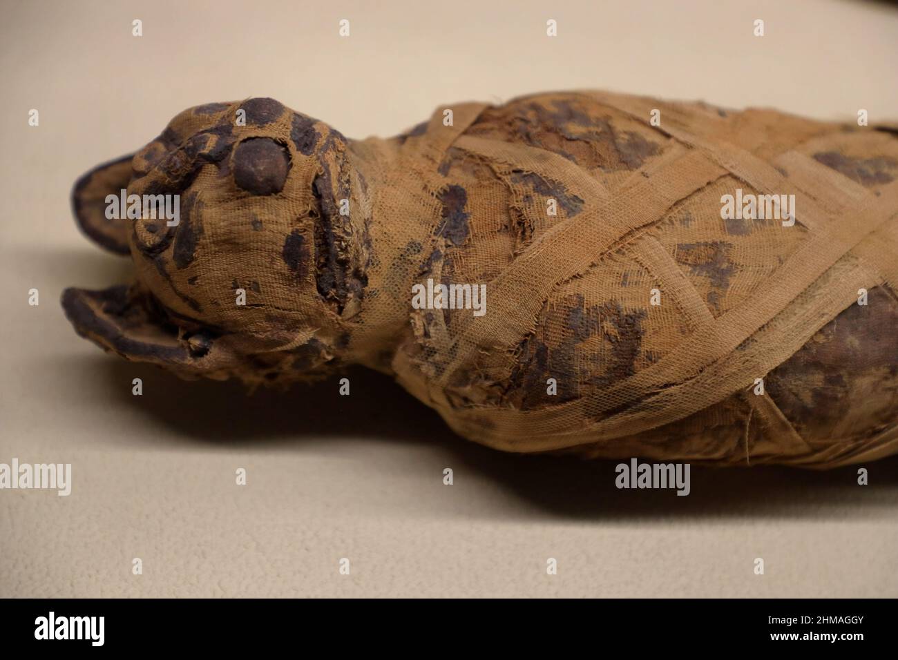 Mummified corpse hi-res stock photography and images - Alamy